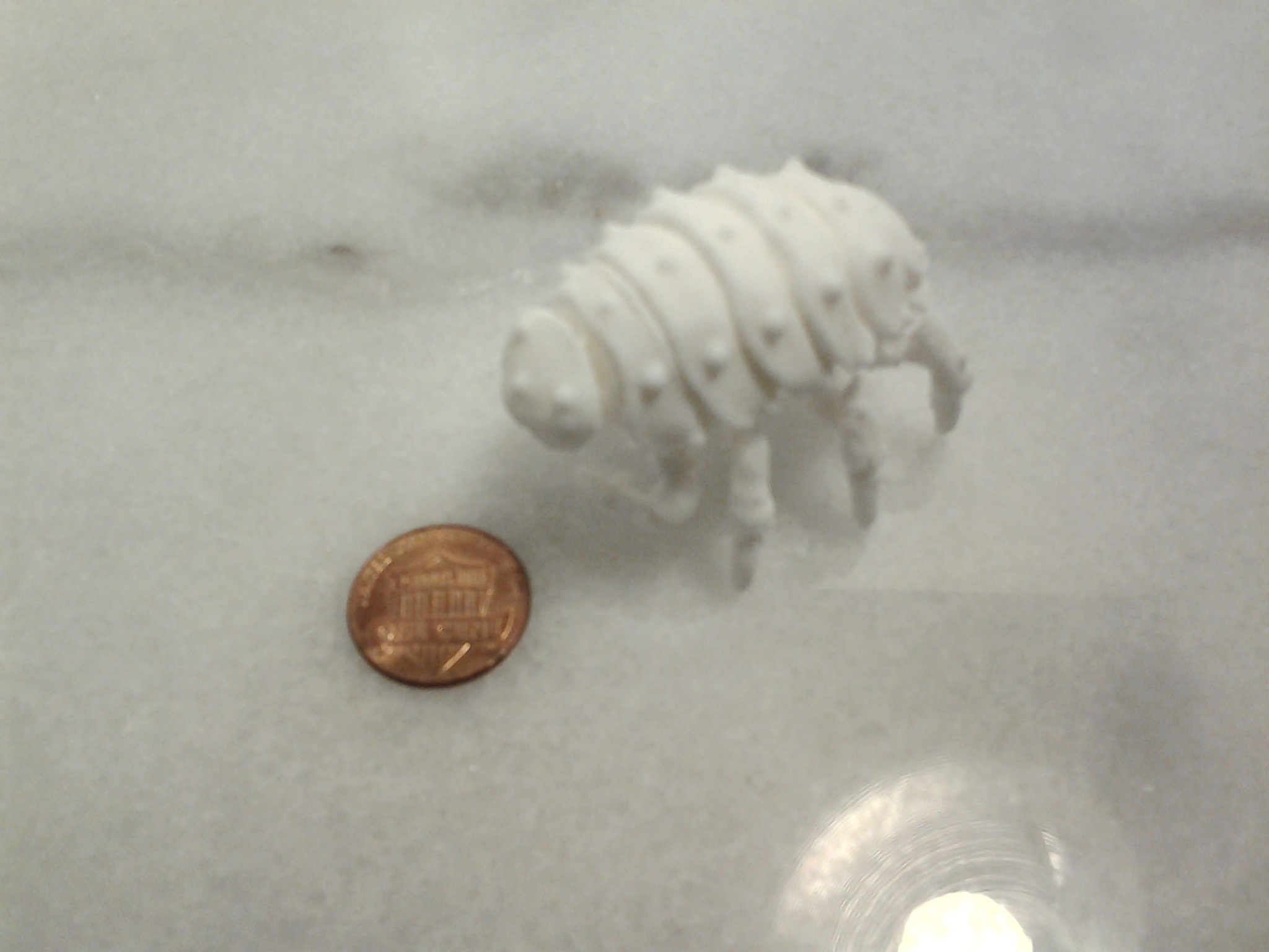 🎨 Articulated Predominant Isopod BJD Kit 3D STL Files with & without ...